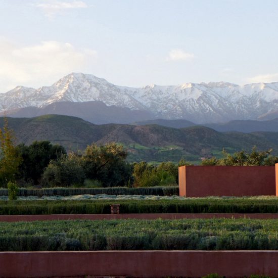 Azaren - O+M | Ossart et Maurières