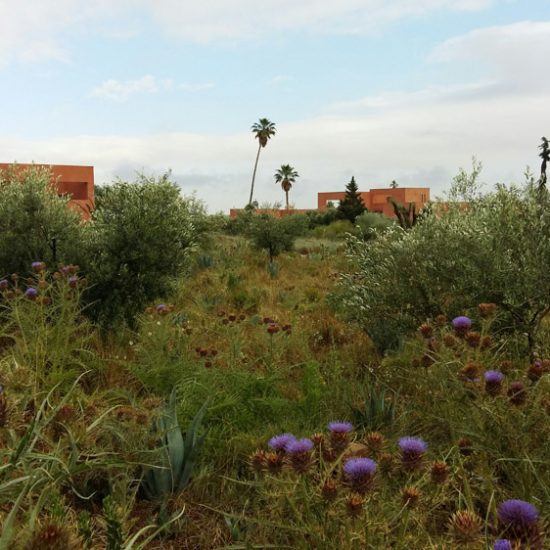 Azaren - O+M | Ossart et Maurières