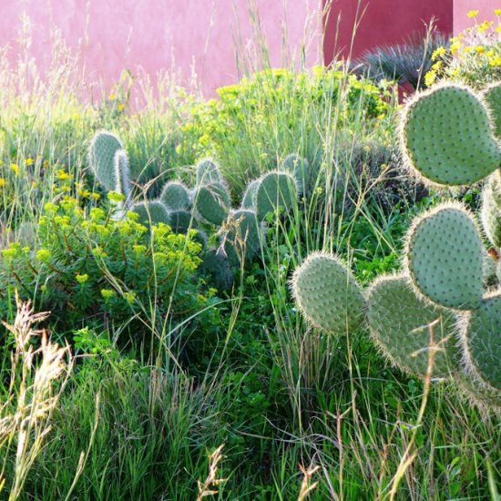 Azaren - O+M | Ossart et Maurières